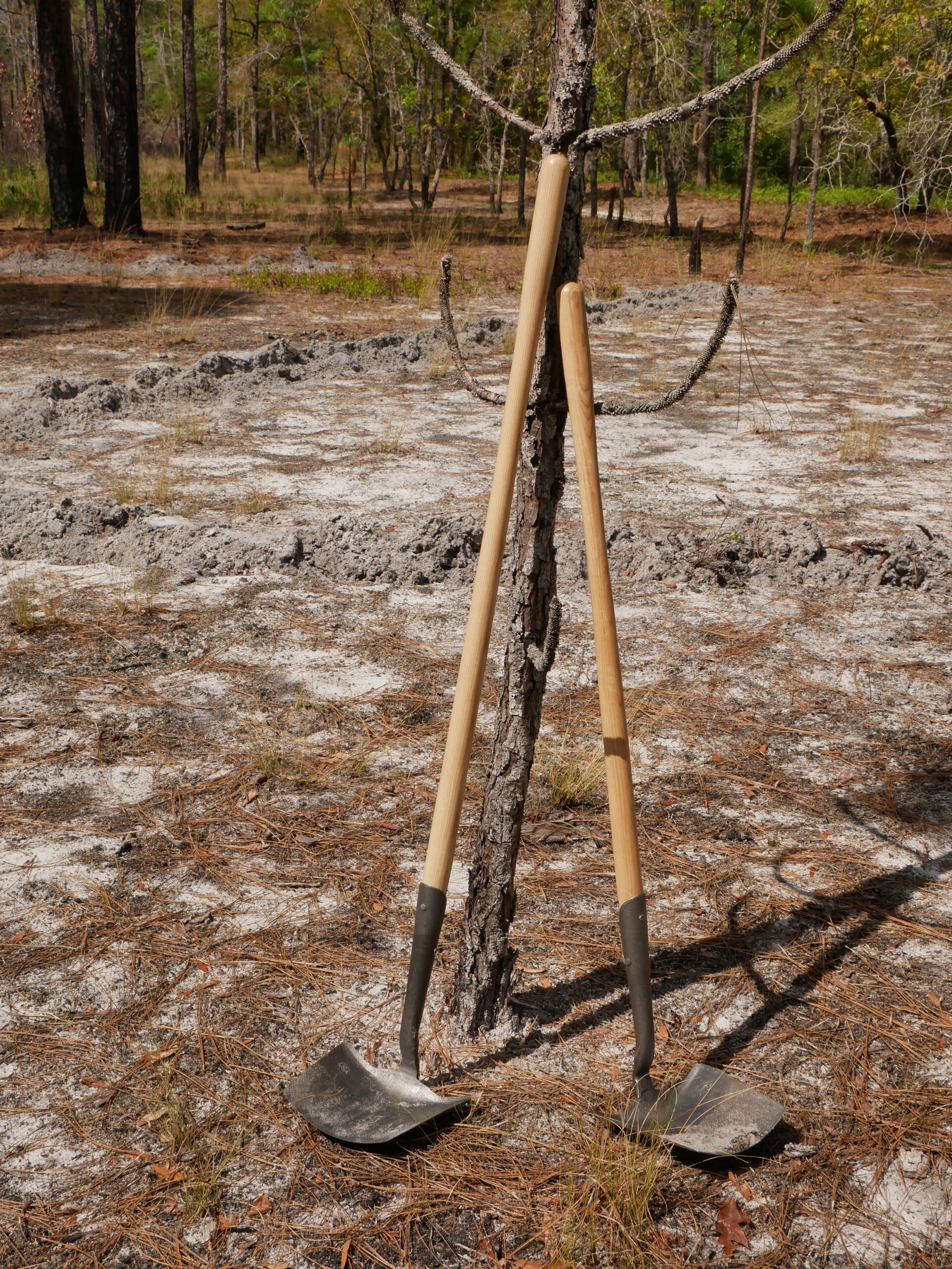 Rhino Tool w/ 48" Handle - Wildland Warehouse